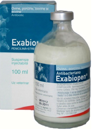 Antibiotice si chimioterapice pentru animale de orice marime |Hipervet