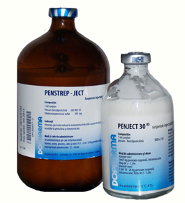 Antibiotice si chimioterapice pentru animale de orice marime |Hipervet